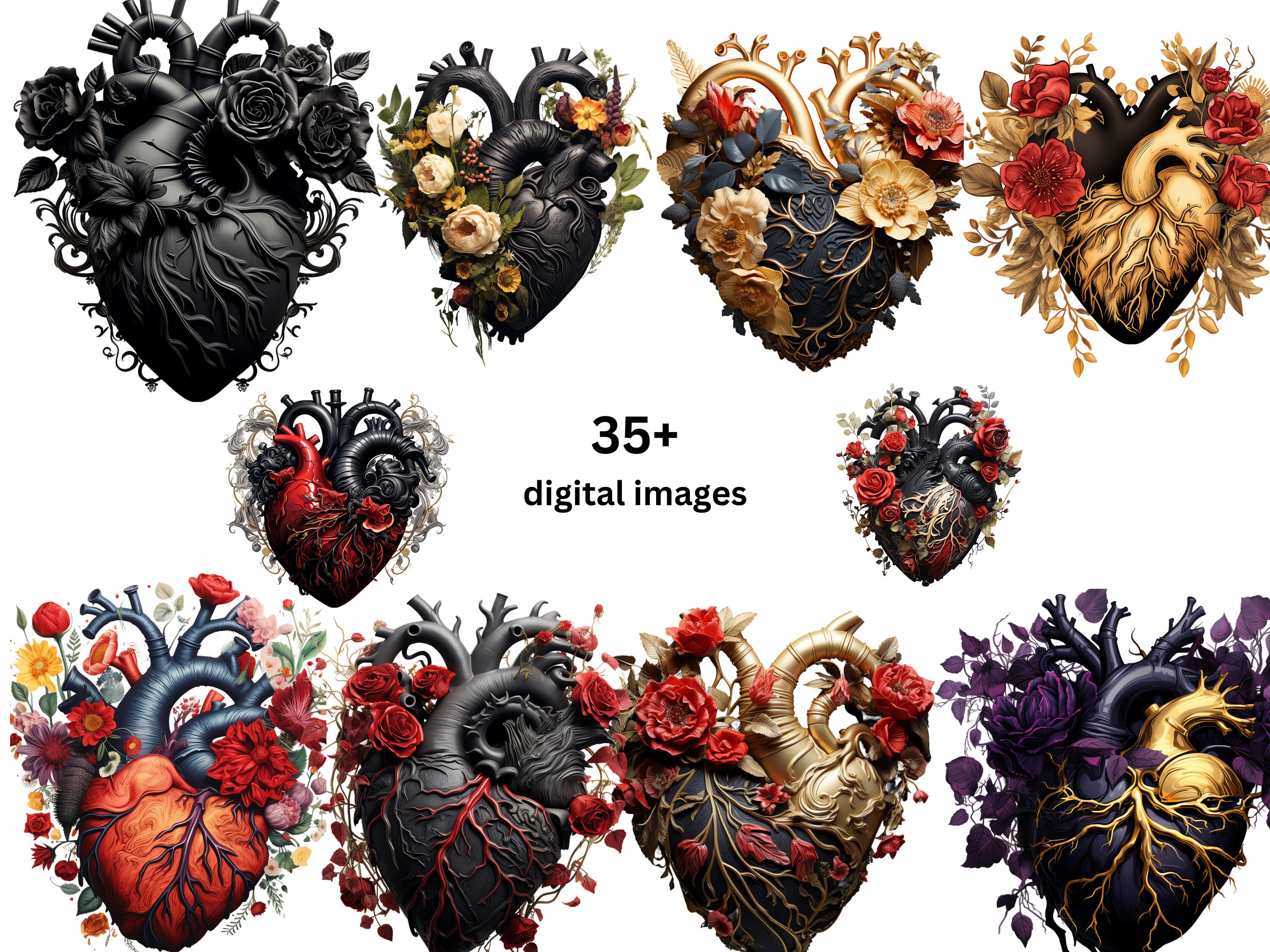 35+ Gothic Anatomical Heart PNG Bundle, Floral Human Heart Clipart ...