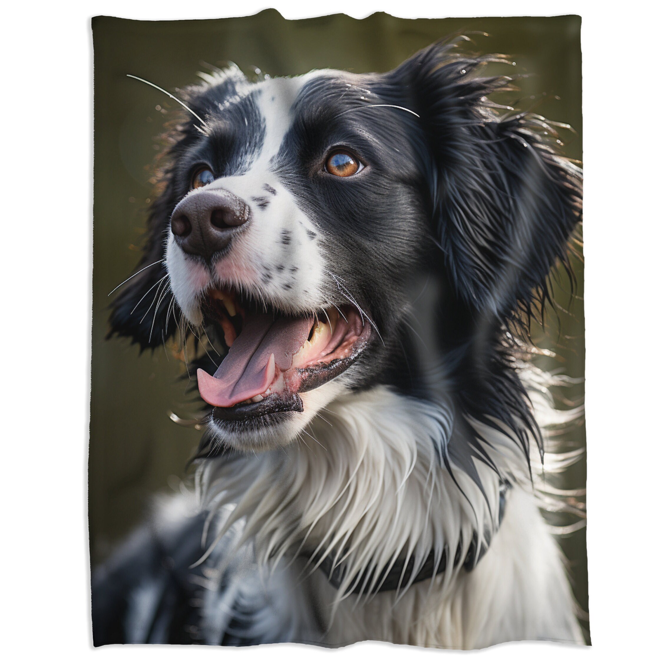 Springer Spaniel Blanket, Gift for Dog Lover, Cozy Springer Spaniel ...