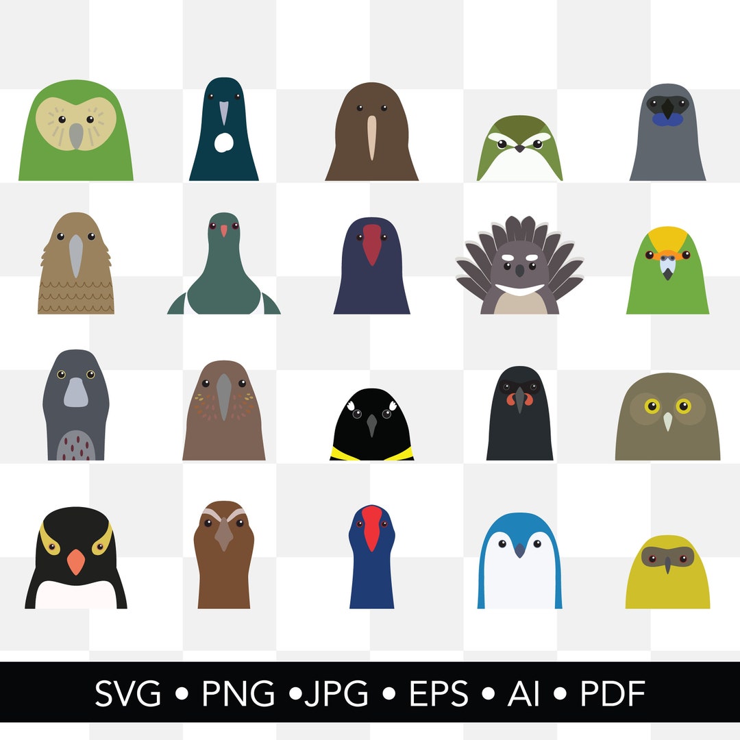 New Zealand Bird Clipart | Bundle of 20 | SVG | PNG | Jpeg | Kiwi Svg ...