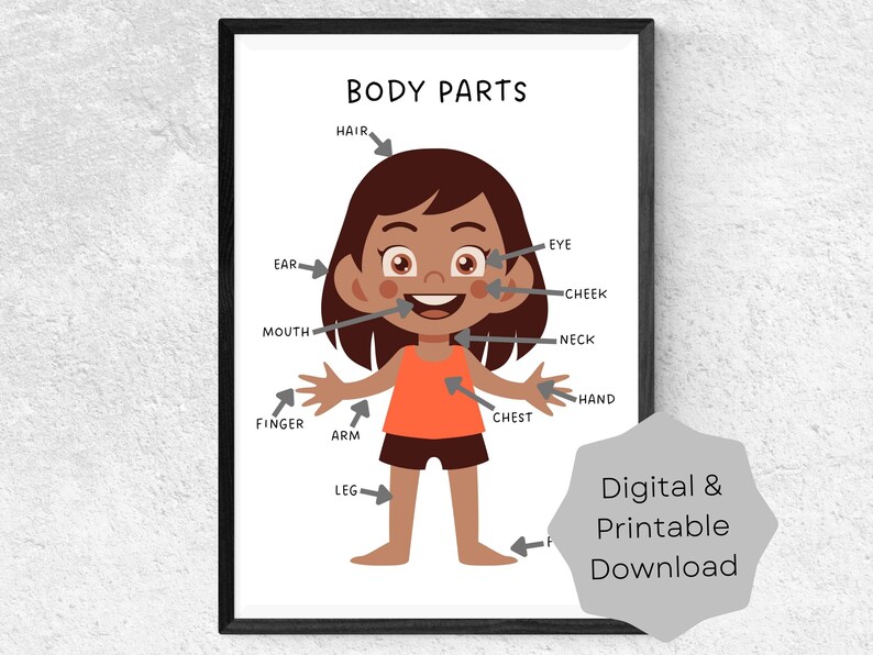Printable Body Parts Poster Educational Classroom Home - Etsy