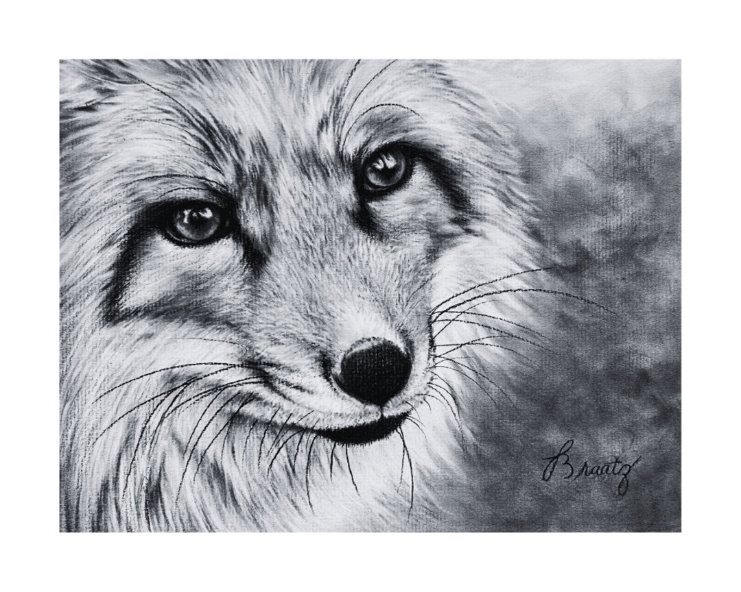Fox Anthropomorphic Charcoal Drawing Original Handmade Wildlife Art ...