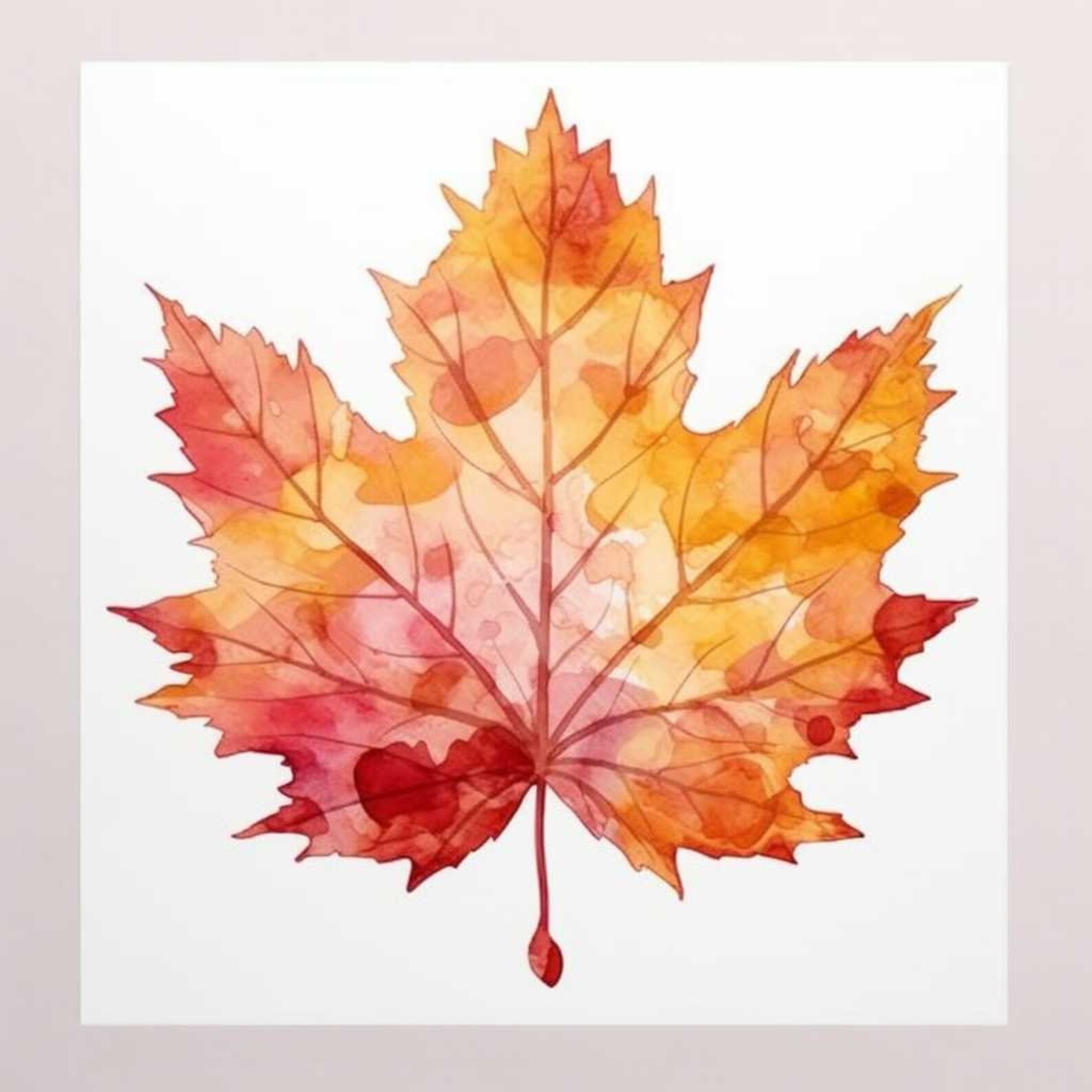 Autumn Maple Leaf Series. Eight Digital Images for Download - Etsy