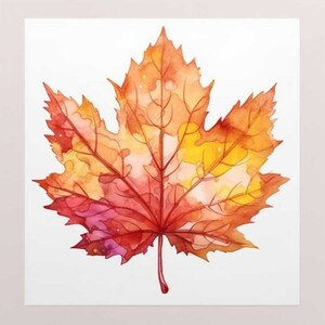 Autumn Maple Leaf Series. Eight Digital Images for Download - Etsy