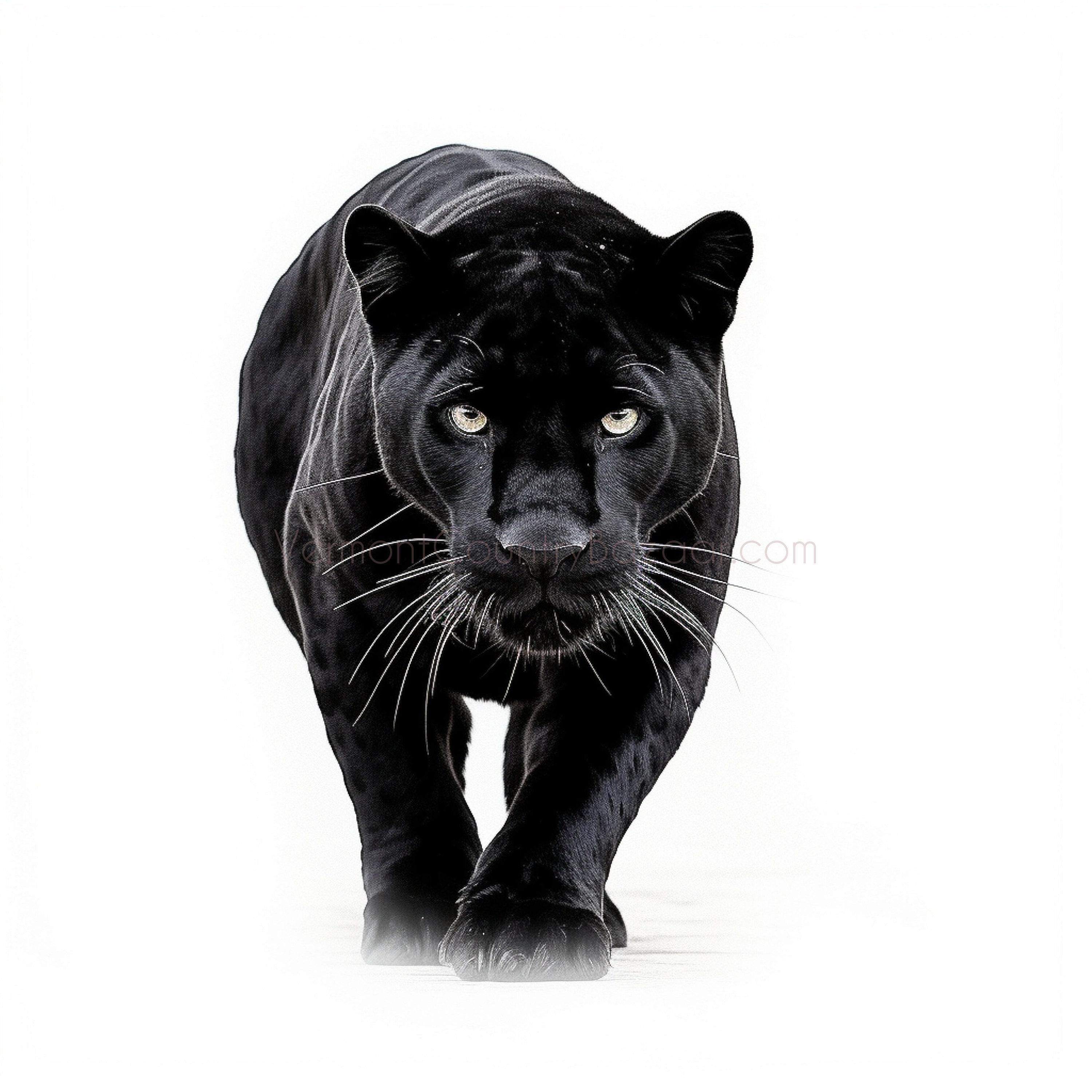 Black Panther Digital Art Print, Panther Wall Decor, Big Cat Wildlife ...