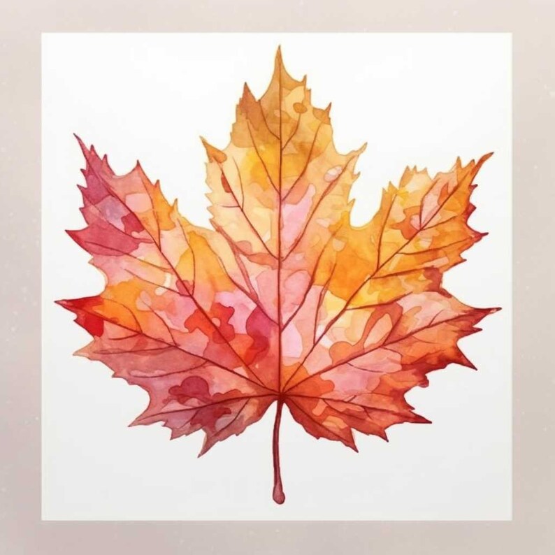 Autumn Maple Leaf Series. Eight Digital Images for Download - Etsy