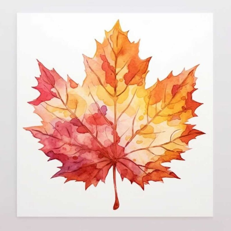 Autumn Maple Leaf Series. Eight Digital Images for Download - Etsy