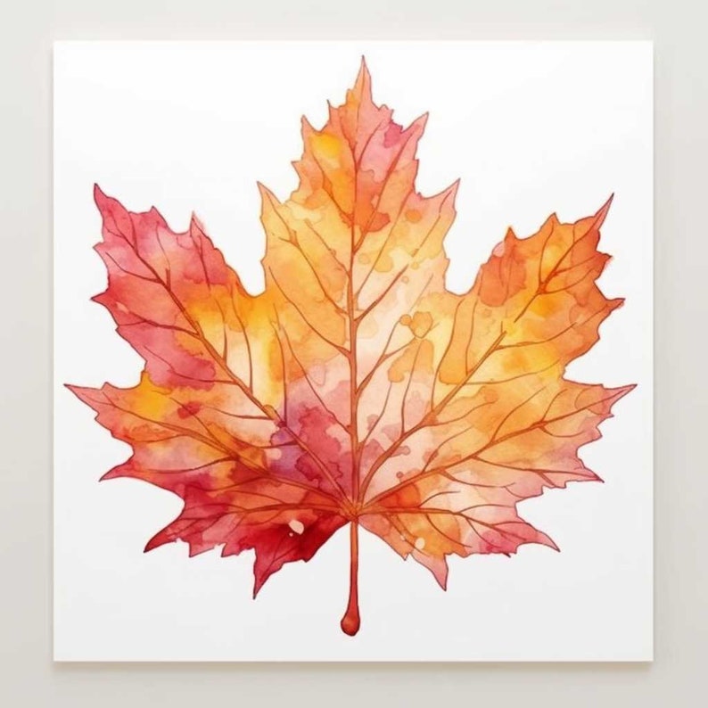 Autumn Maple Leaf Series. Eight Digital Images for Download - Etsy