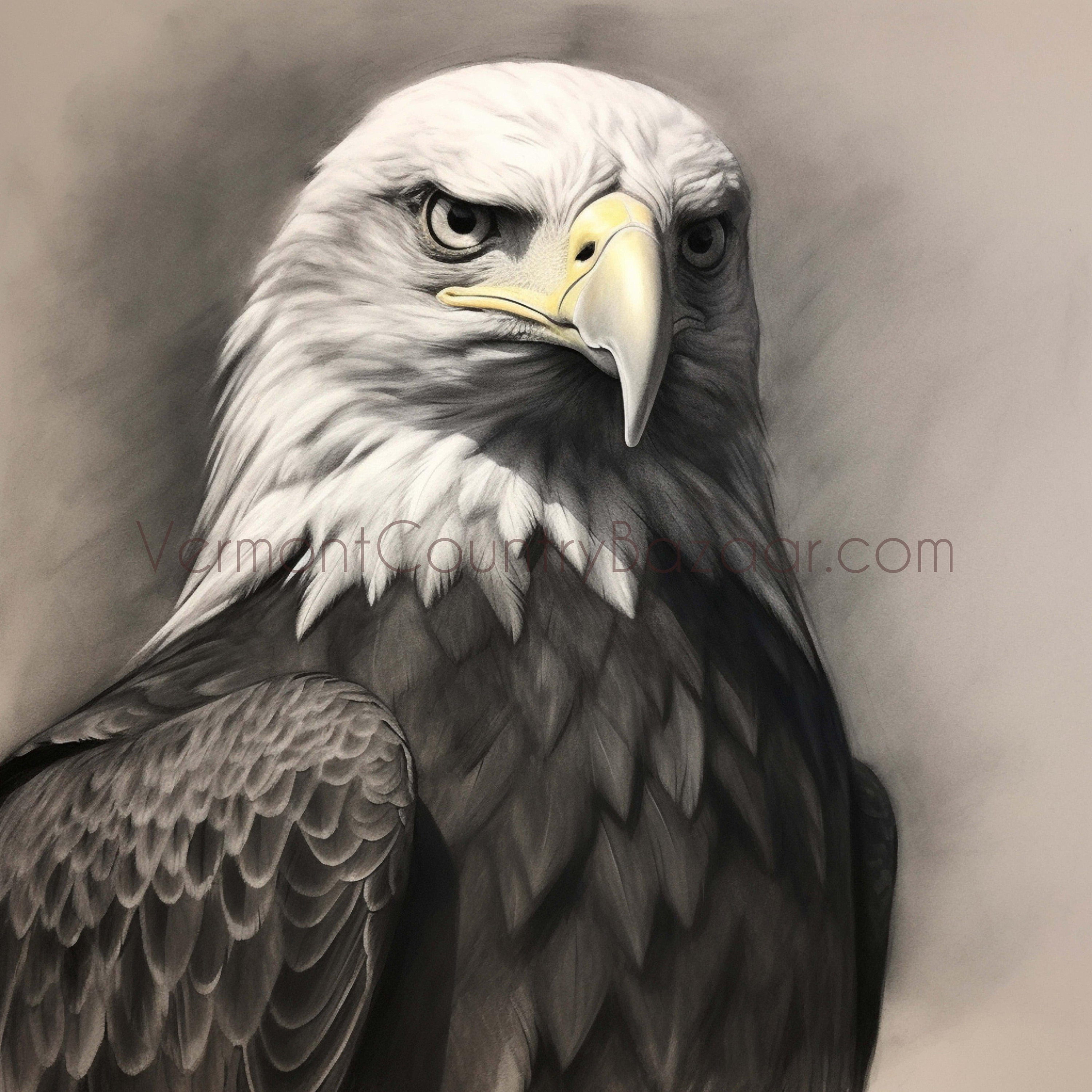 Realistic Drawings Of Eagles