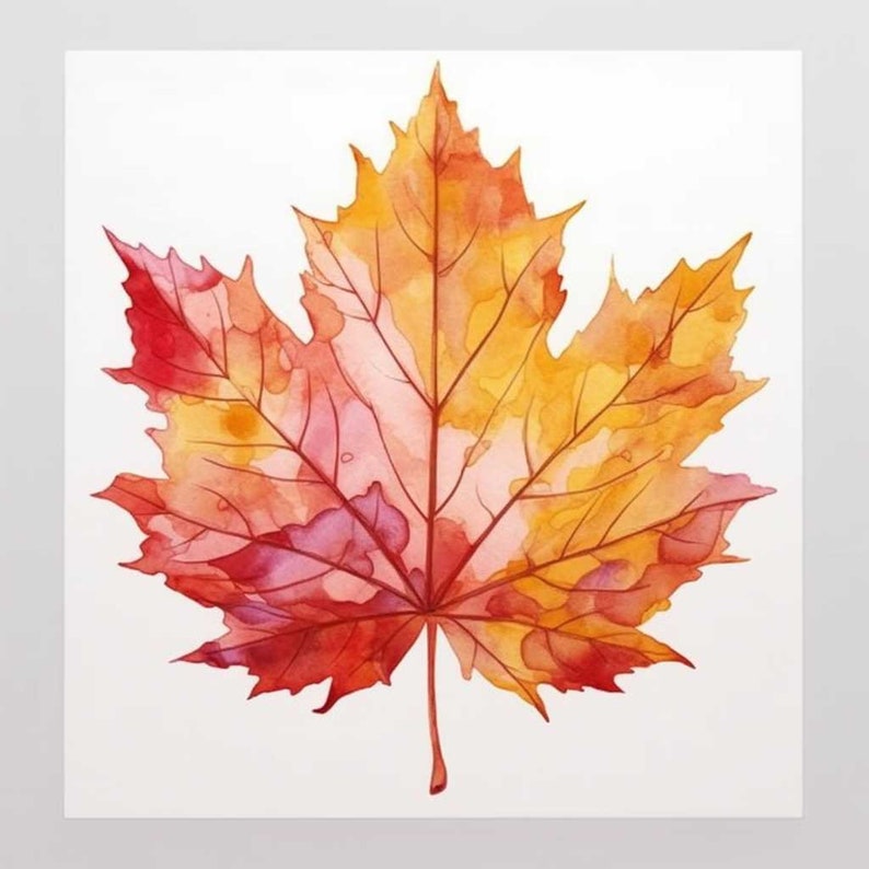 Autumn Maple Leaf Series. Eight Digital Images for Download - Etsy