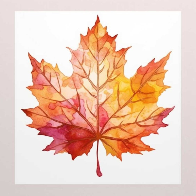 Autumn Maple Leaf Series. Eight Digital Images for Download - Etsy
