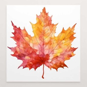 Autumn Maple Leaf Series. Eight Digital Images for Download - Etsy