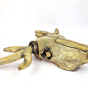 Wall Decor, Ceramics Skull, Art Mask, Clay Skull - Etsy