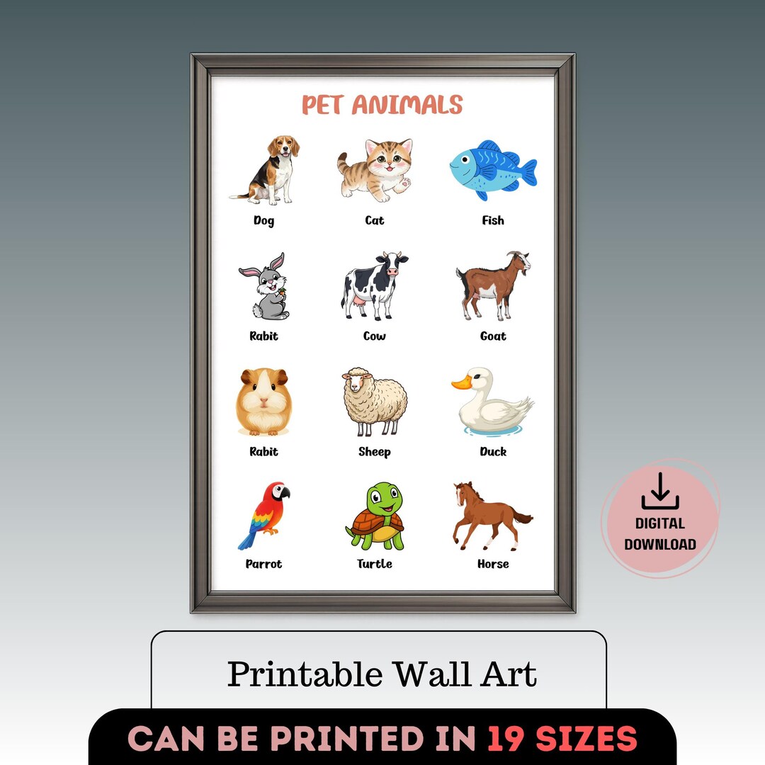 Pet Animals Learning Poster for Kids | Preschool Classroom Wall Art ...