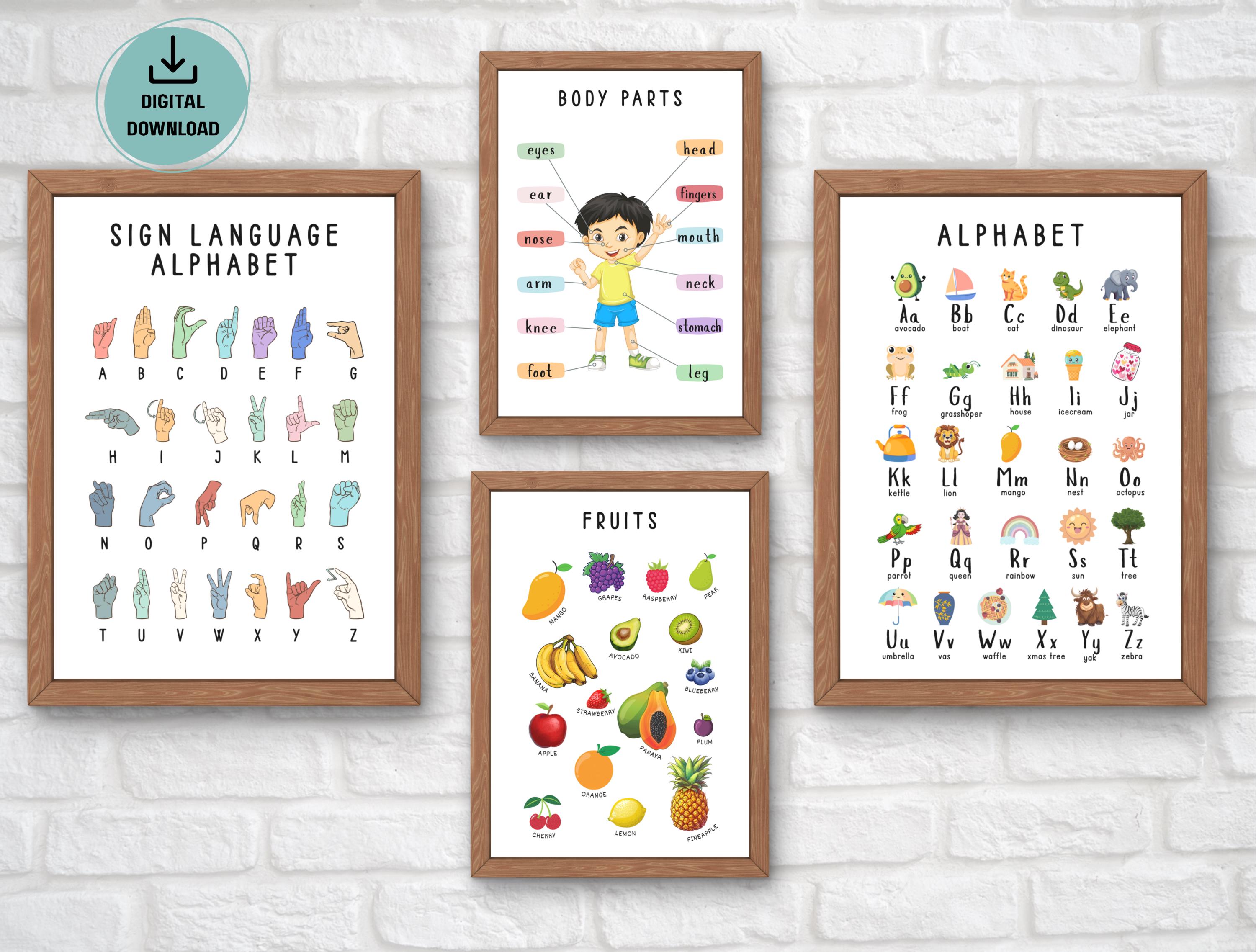 25 Educational Posters Bundle | Alphabet, Numbers, Solar System, Body ...
