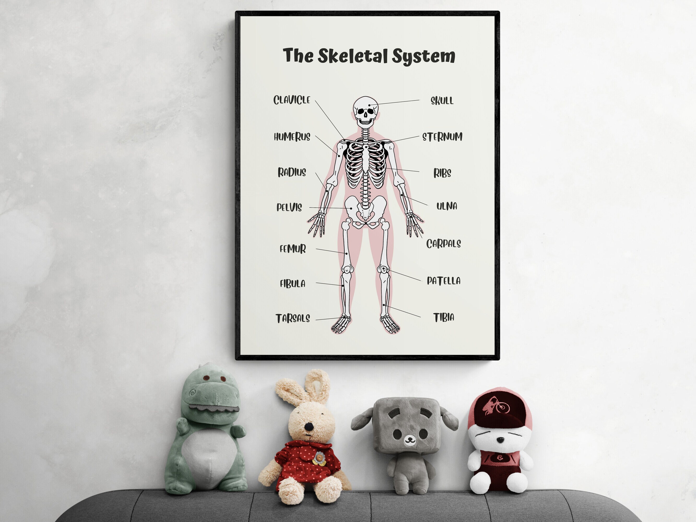 Skeleton System Poster: Detailed Anatomy of the Human Skeleton With ...
