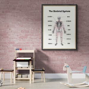 Skeleton System Poster: Detailed Anatomy of the Human Skeleton - Etsy