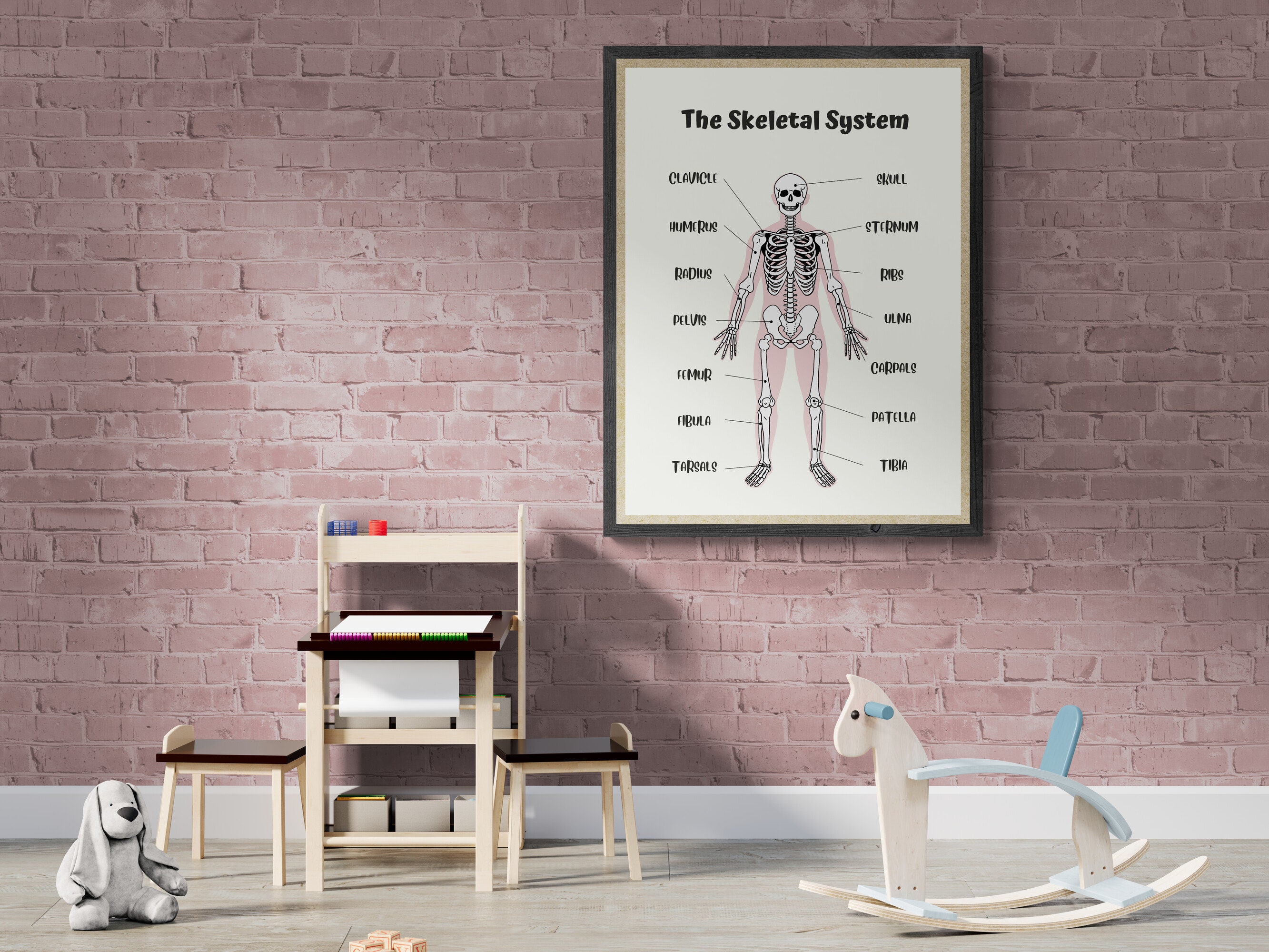 Skeleton System Poster: Detailed Anatomy of the Human Skeleton With ...