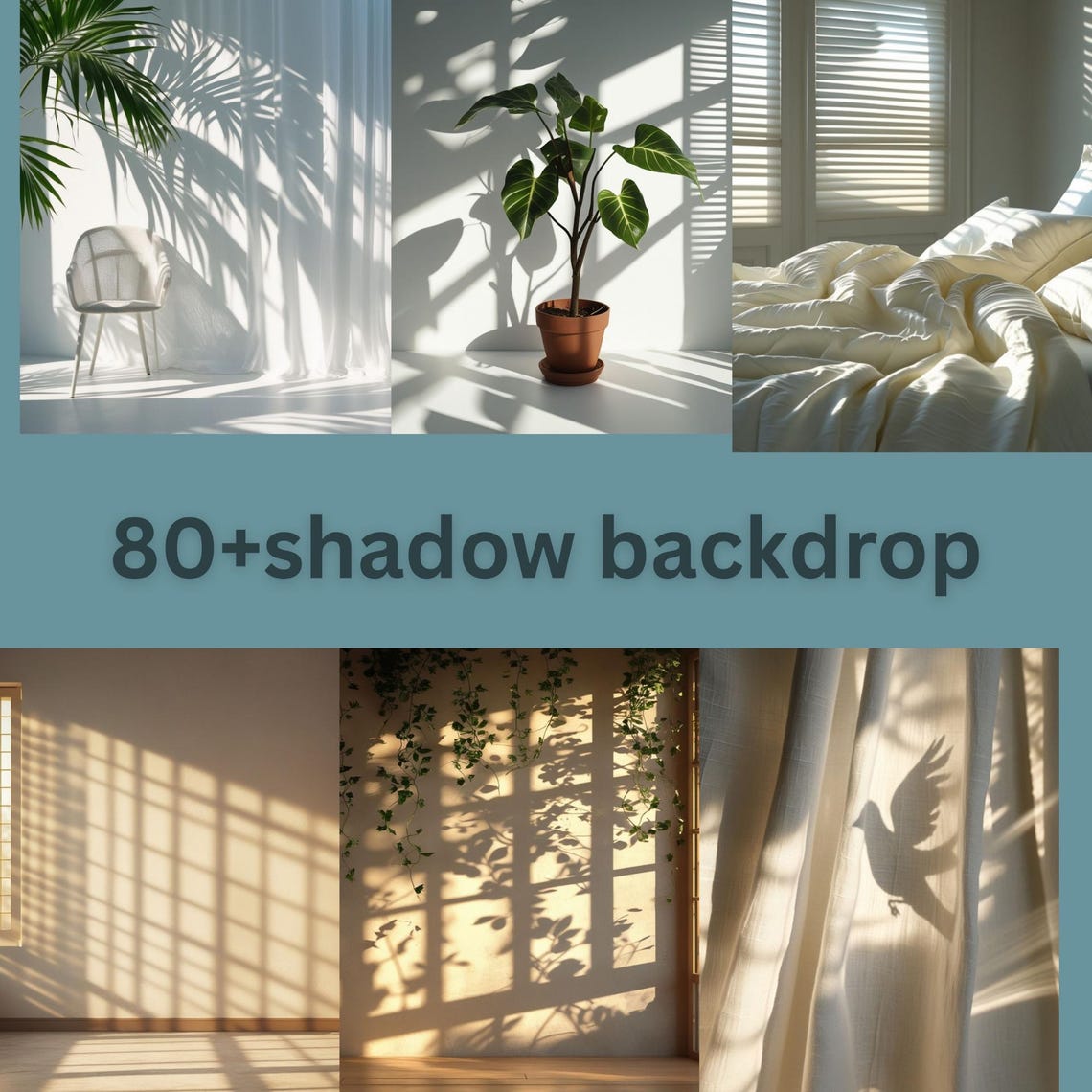 80+ Shadow Overlay Backdrops: Botanic Window Light Effects (digital ...
