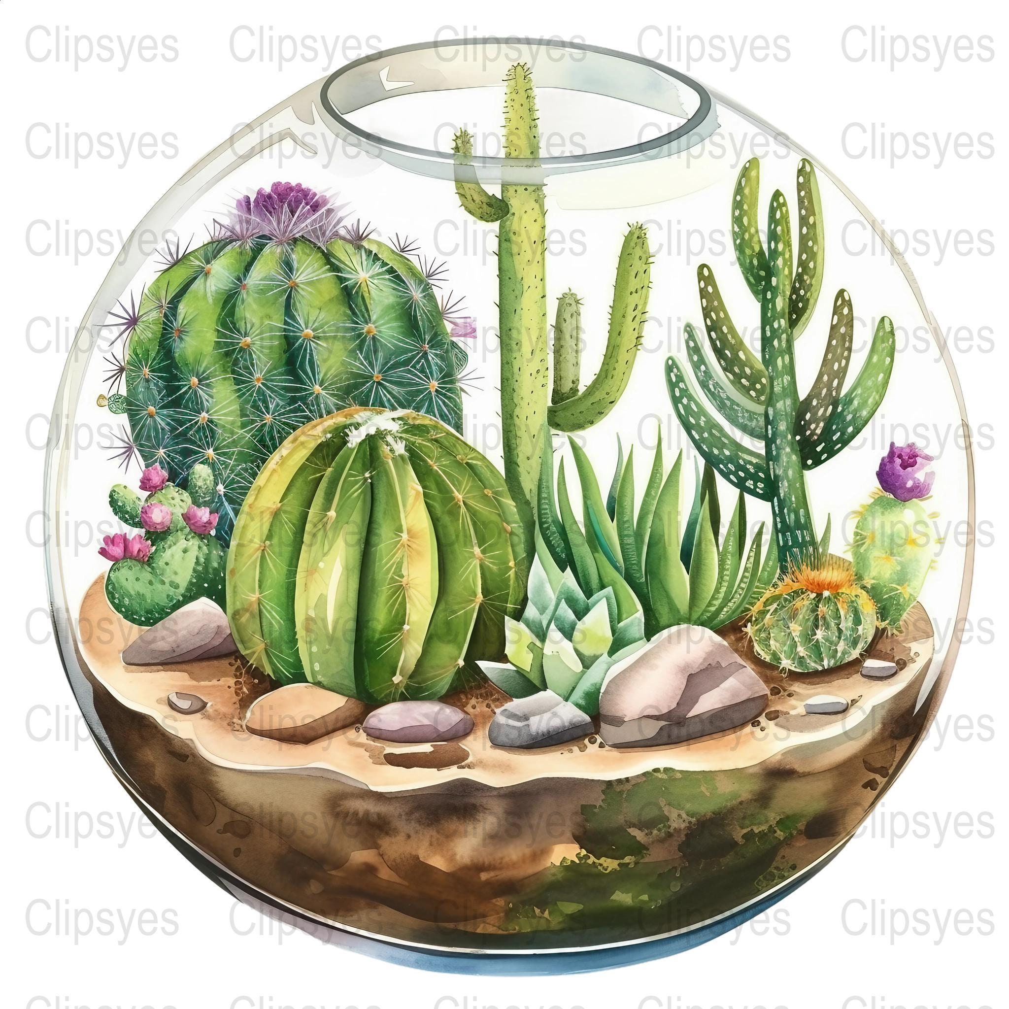 Watercolor Succulent Terrarium Clipart, Cactus Clip Art, PNG and SVG ...