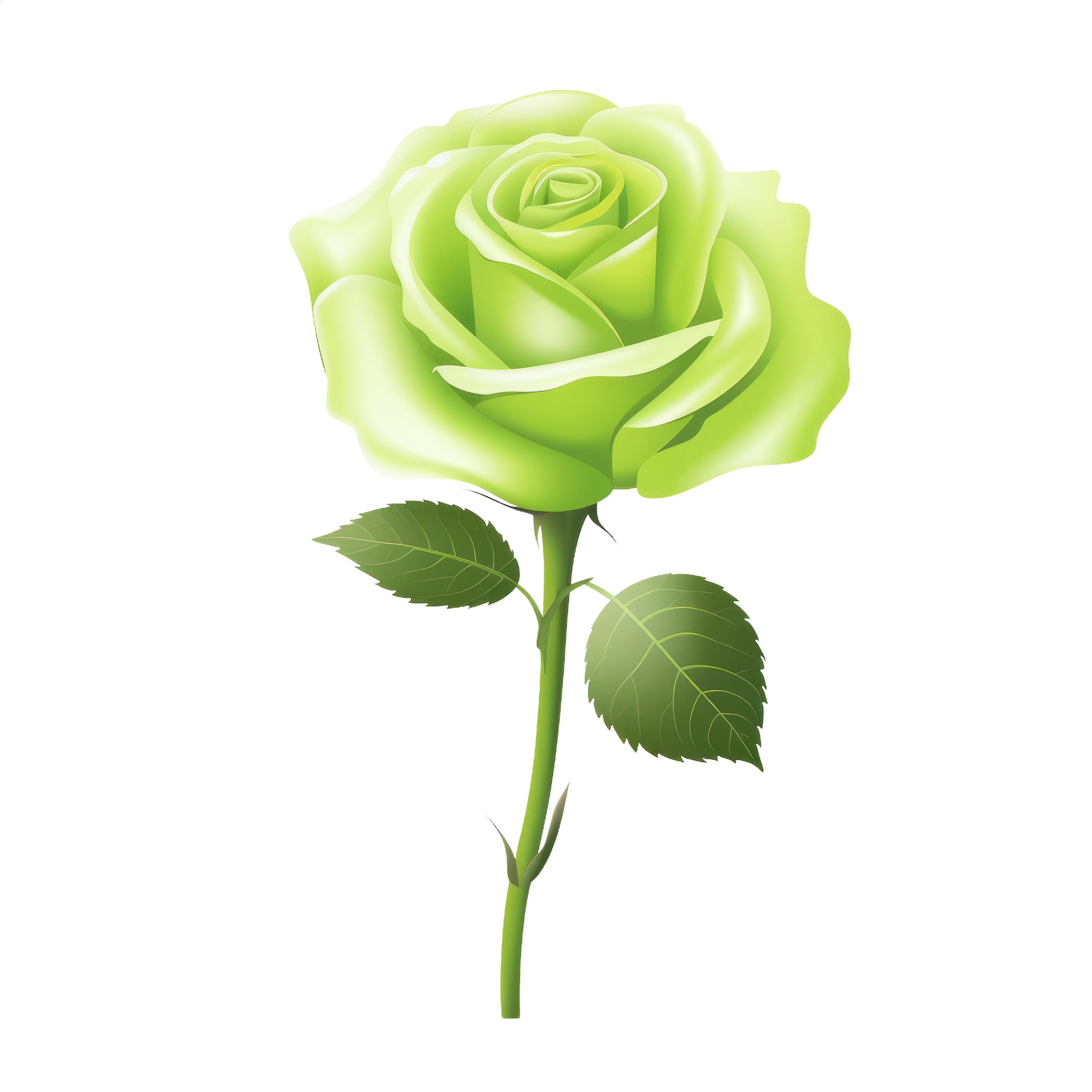 Lime Green Rose Clipart, Flower Vector File, SVG, High Resolution PNG ...