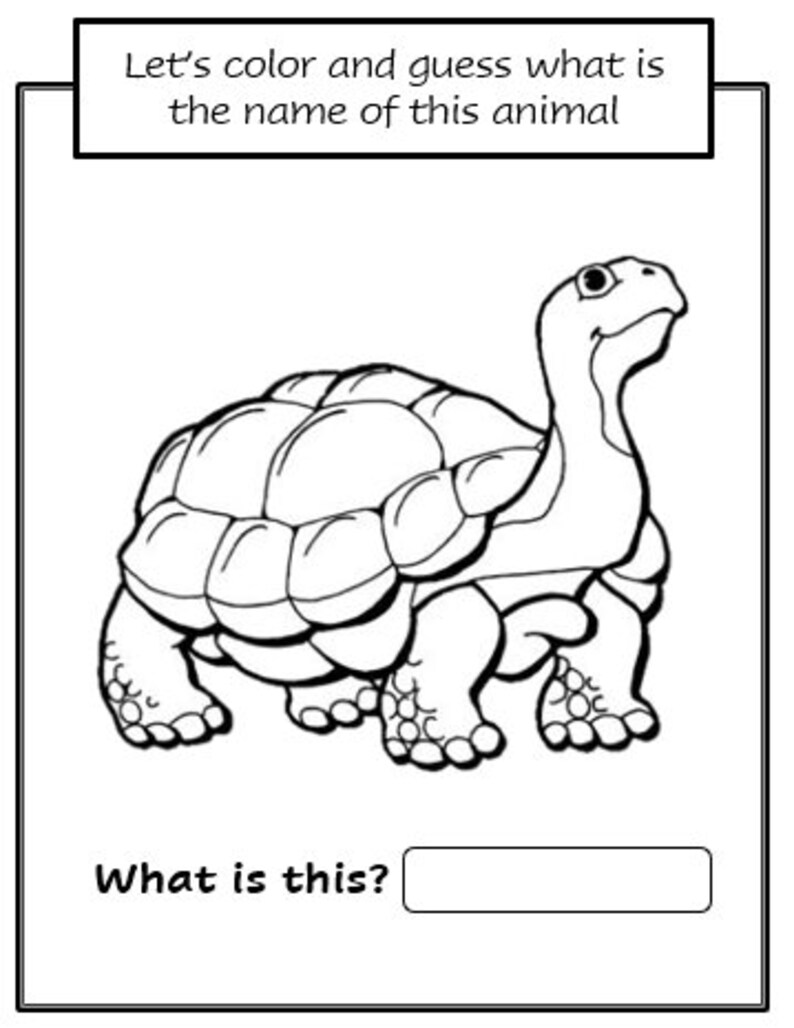 Animal Kingdom : Coloring Pages for Kids, Toddlers, Preschoolers ...