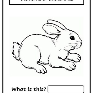 Animal Kingdom : Coloring Pages for Kids, Toddlers, Preschoolers ...