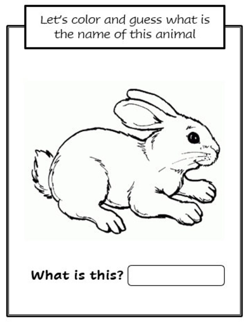 Animal Kingdom : Coloring Pages for Kids, Toddlers, Preschoolers ...