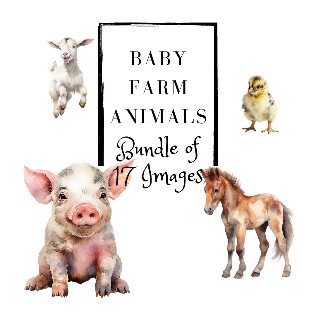 Baby Farm Animals Clipart, Watermark Animals, PNG, Digital Clipart Farm ...