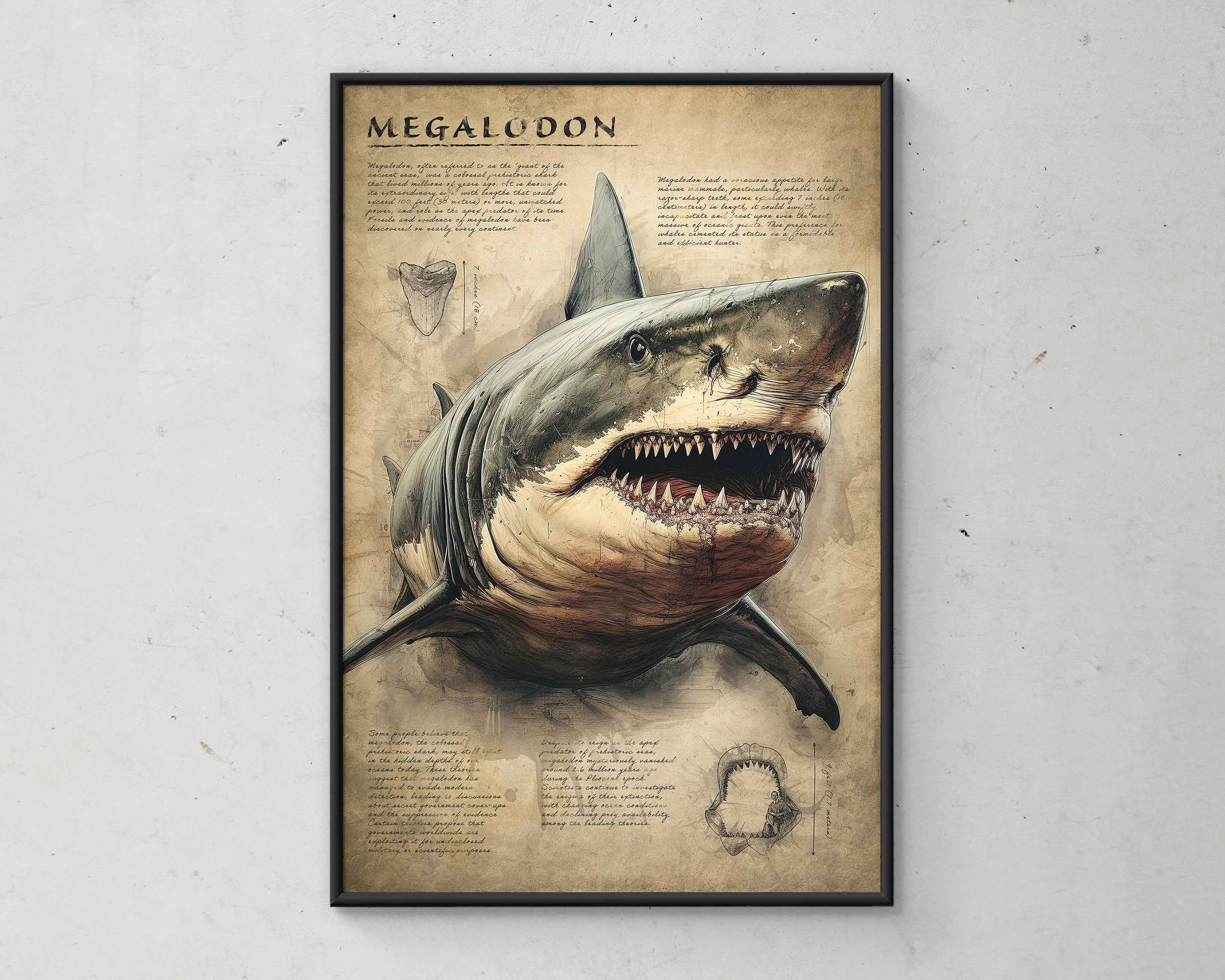 Megalodon Poster - Prehistoric Sea Monster, Shark Wall Art - Etsy