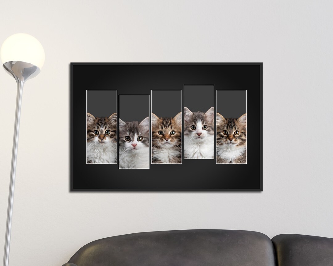 Adorable Kitten Panel Art Print - Cute Cat Faces Wall Decor - Multi ...