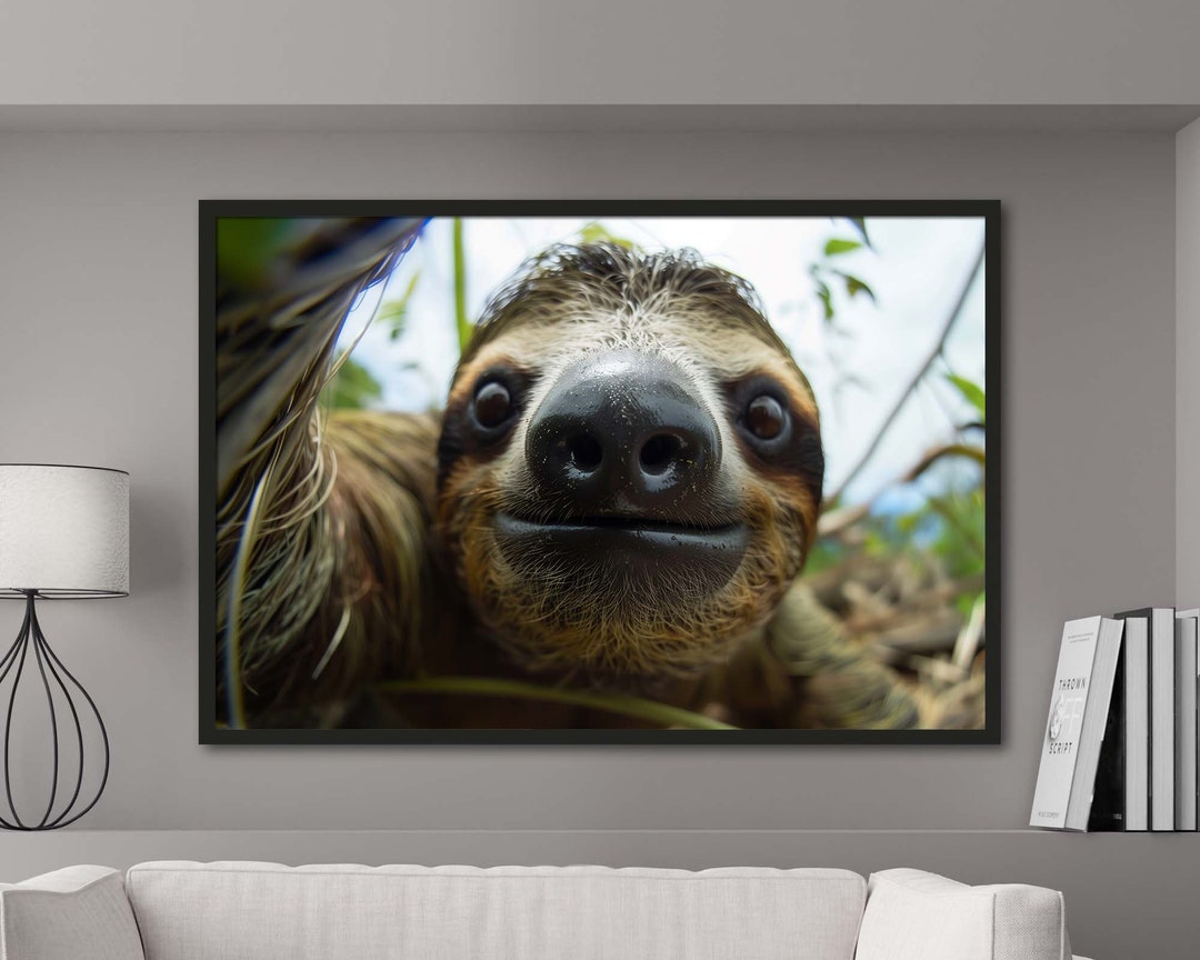 Printable Close Up! Sloth - Vibrant Animal Photography, Wildlife Poster ...