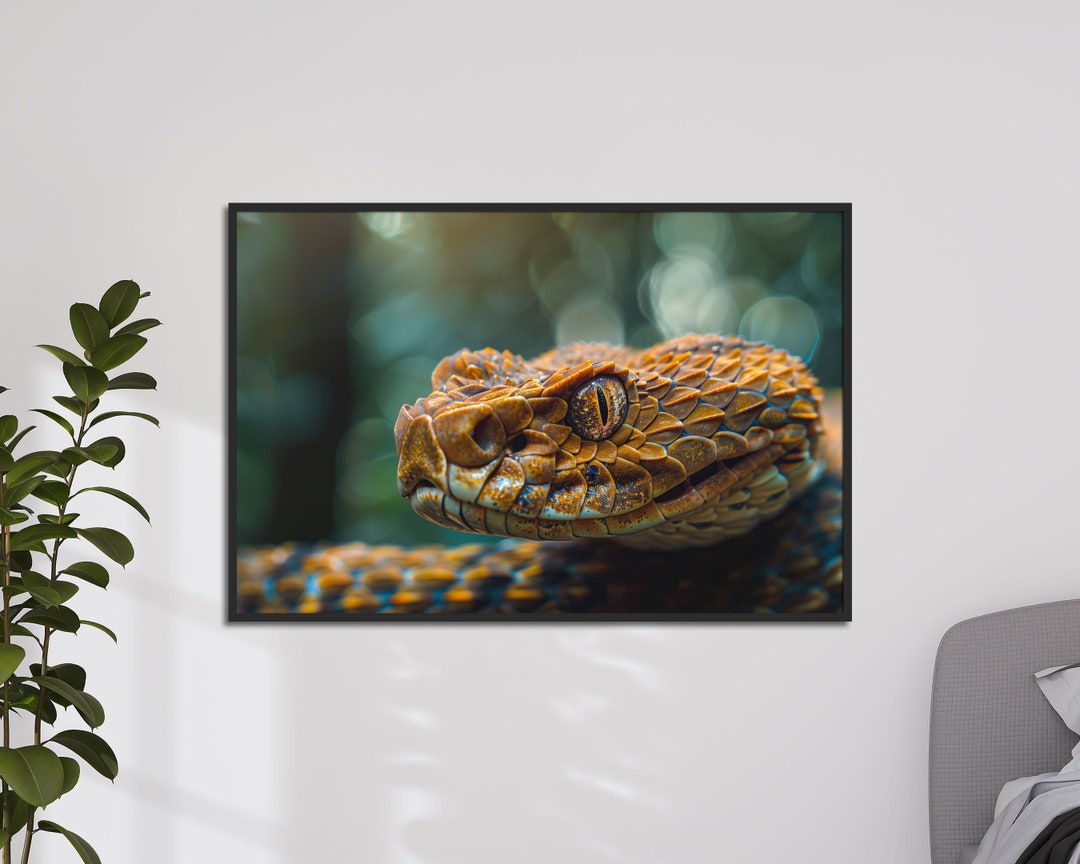 Striking Viper Poster, Snake Wall Art, Reptile Photography, Nature ...