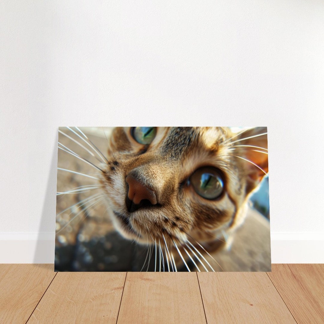Close Up! Cat - Vibrant Wildlife Photography, Animal Poster, Art Print ...