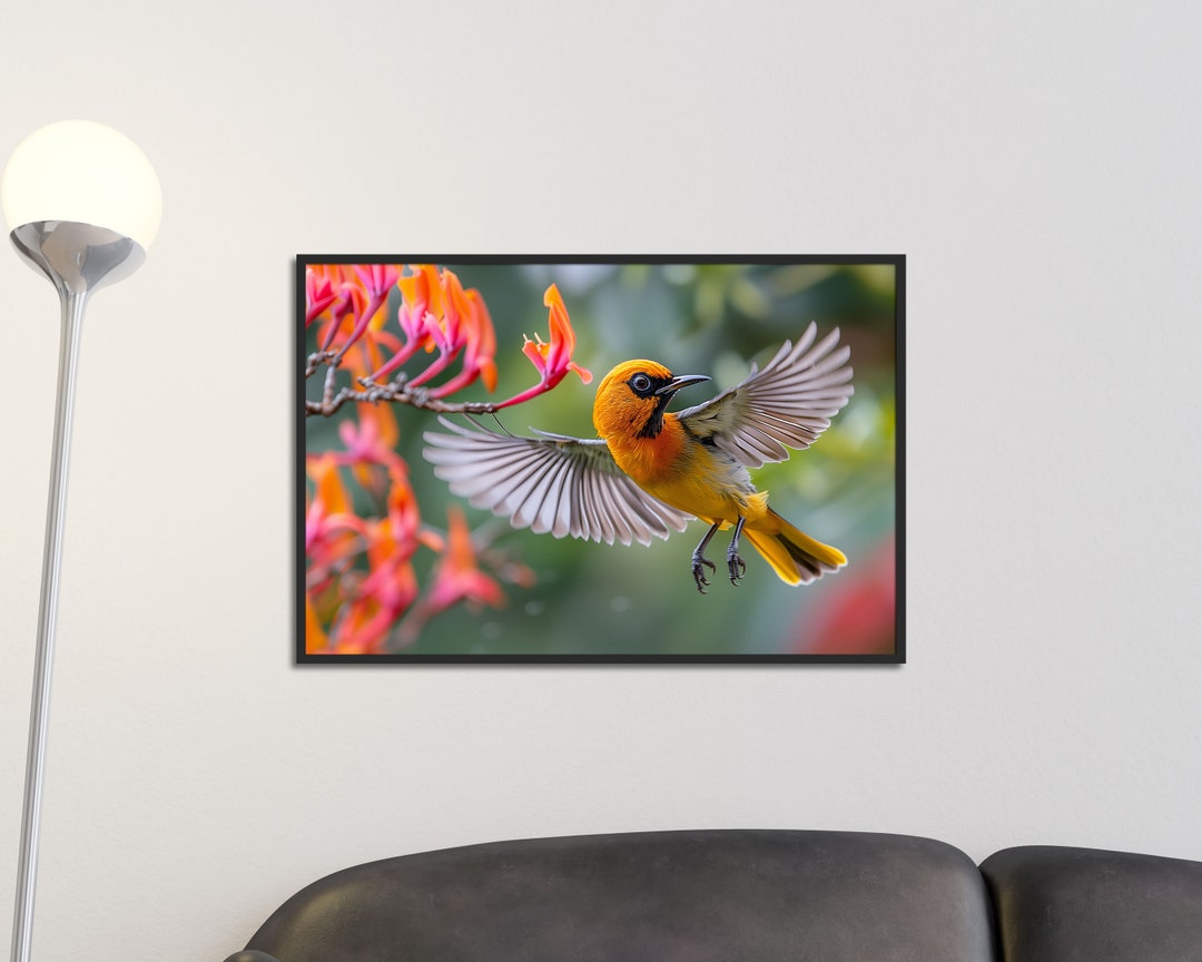 Altamira Oriole Bird Photography Poster - Tropical Bird Wall Art ...