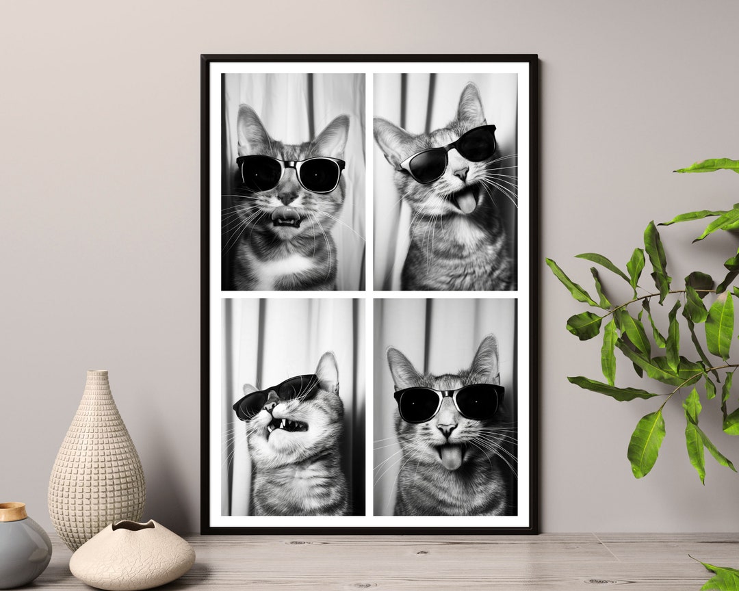 Funny Cat Wall Art Print, Catitude in Sunglasses Poster, Cute Animal ...
