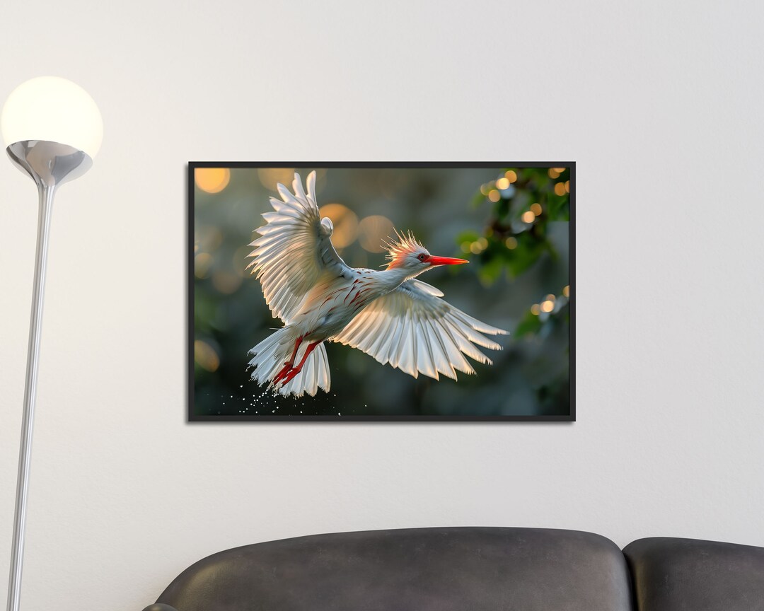 Crested Ibis Bird Photography Poster - Japanese Ibis Wall Art, Nature ...