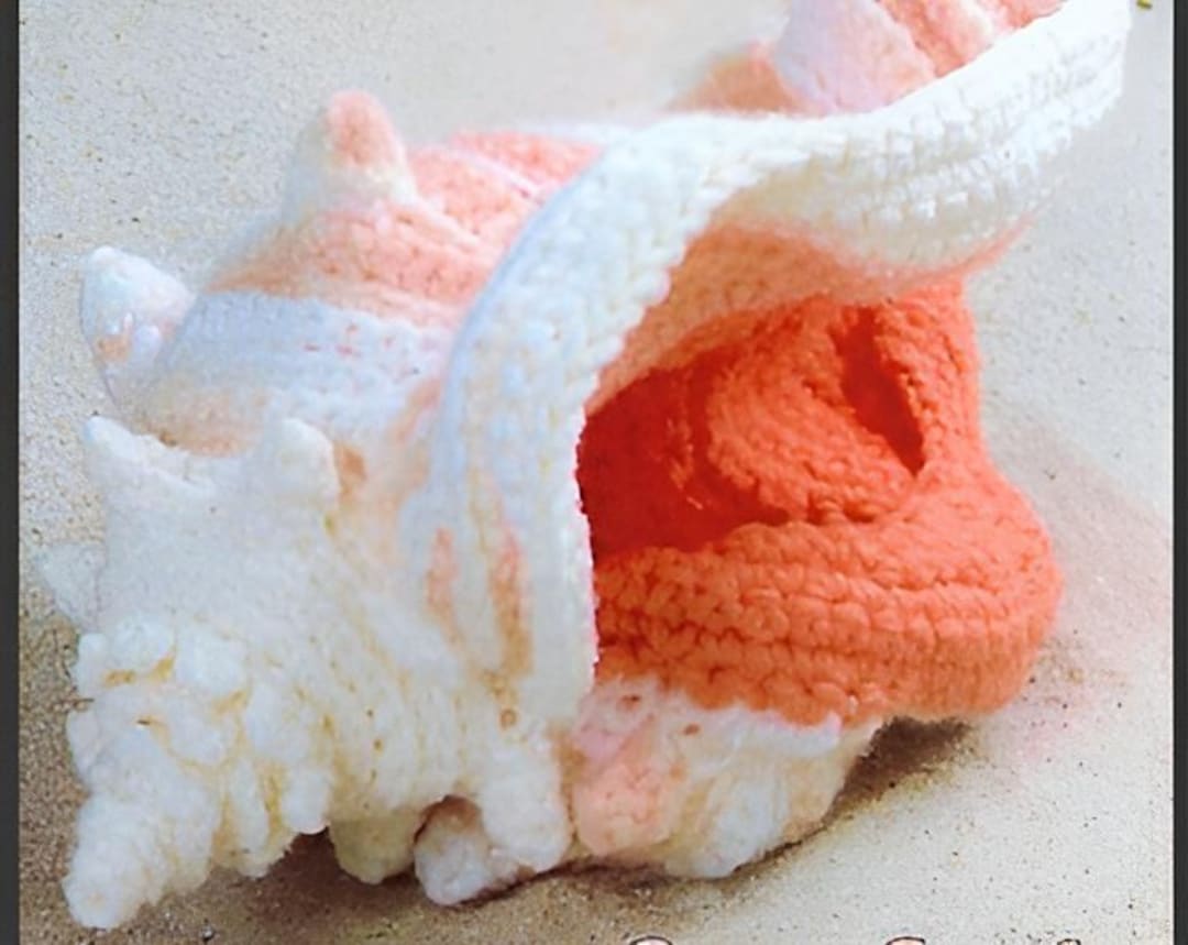 Seashell Crochet Patterns Queen Conch Shell Pattern PDF Sea Shell ...
