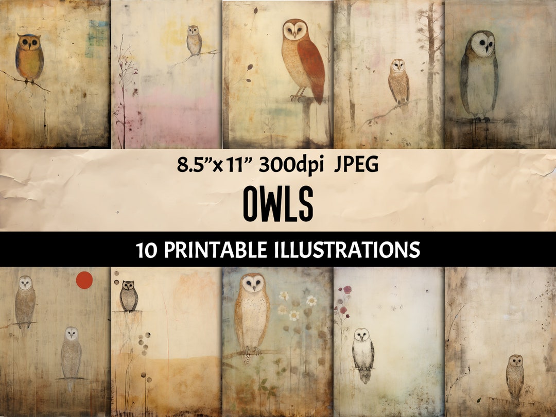 Vintage Owl-themed Grunge Journal Pages - High-quality Digital ...