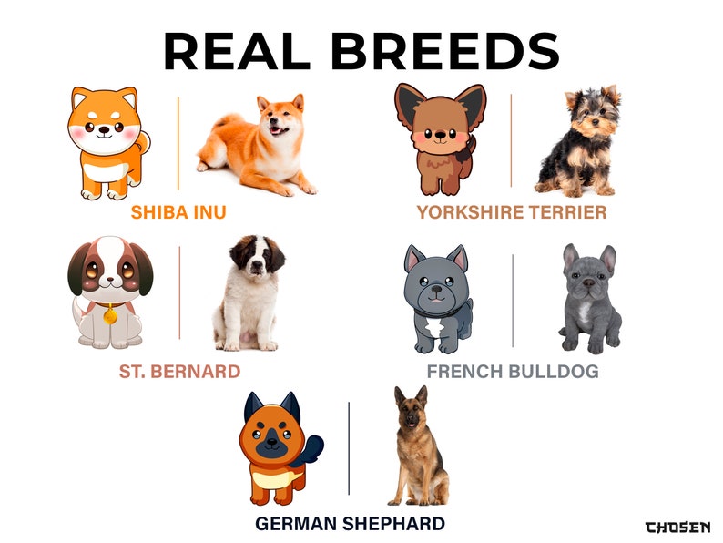 Premade Vtuber Pets for Commercial Use - 5-pack Cute Dog Breeds Vtube ...