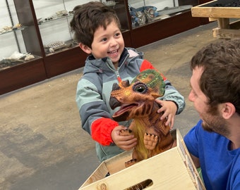 Vintage Chinese Realistic Mosasaurus Sea Animal Children's Rubber ...