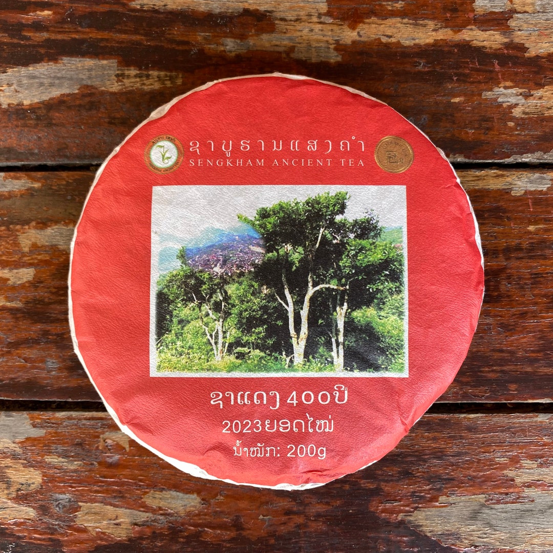 ANCIENT TEA: 400 Year Old Red Tea From Ban Komaen, Phongsaly, Laos ...