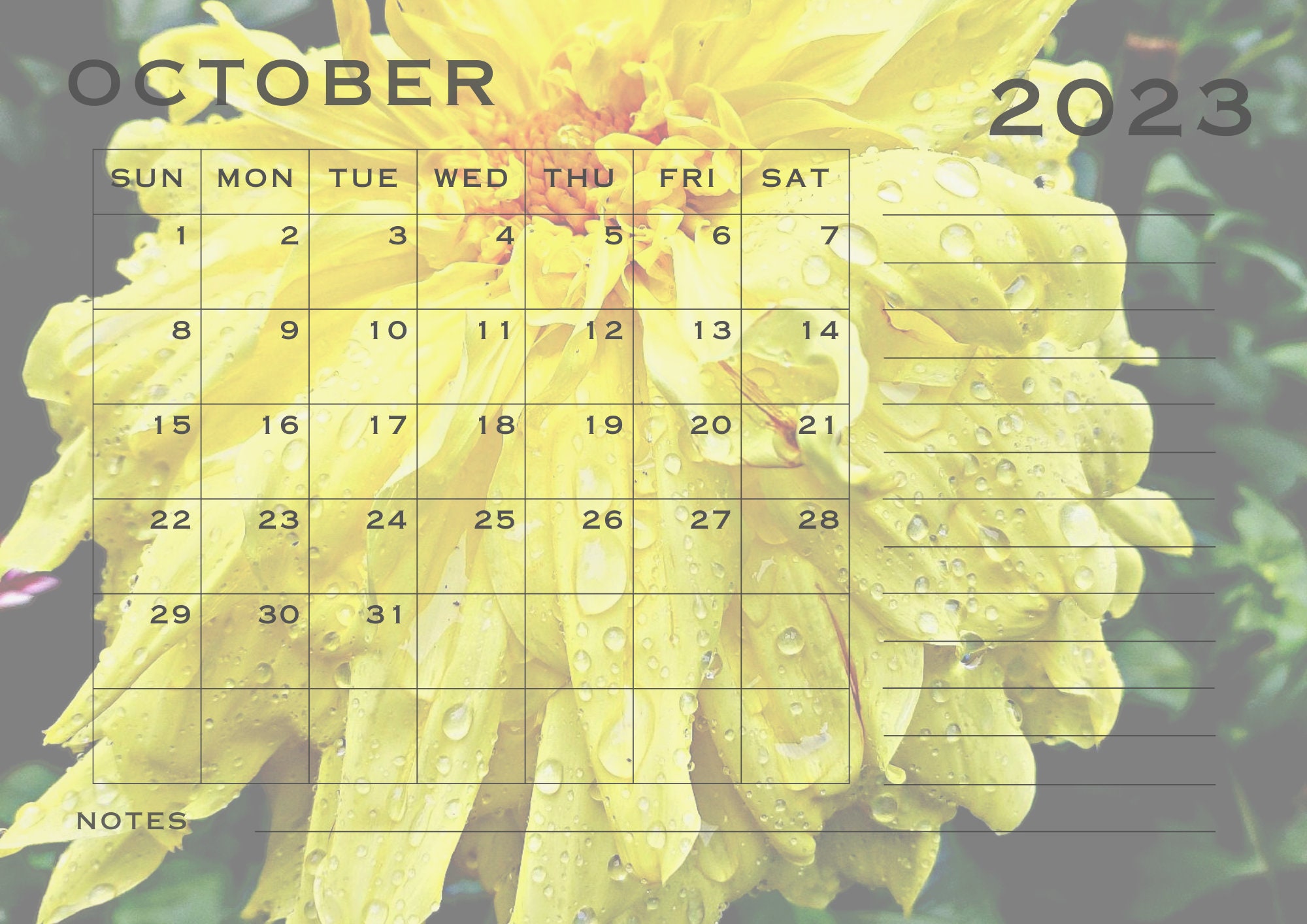Printable 2023 Calendar, Floral Watercolor, Botanical Greenery,a4,pdf ...
