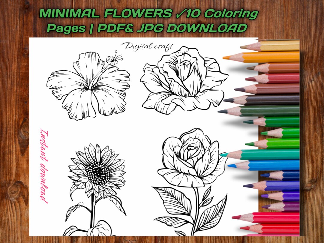 Adult Coloring Pages: Minimalist Flower Coloring Book Basic Flower ...
