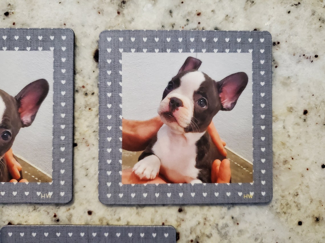 Dog Refrigerator Magnets 3 Pack Fridge Magnets Boston Terrier Frenchton ...