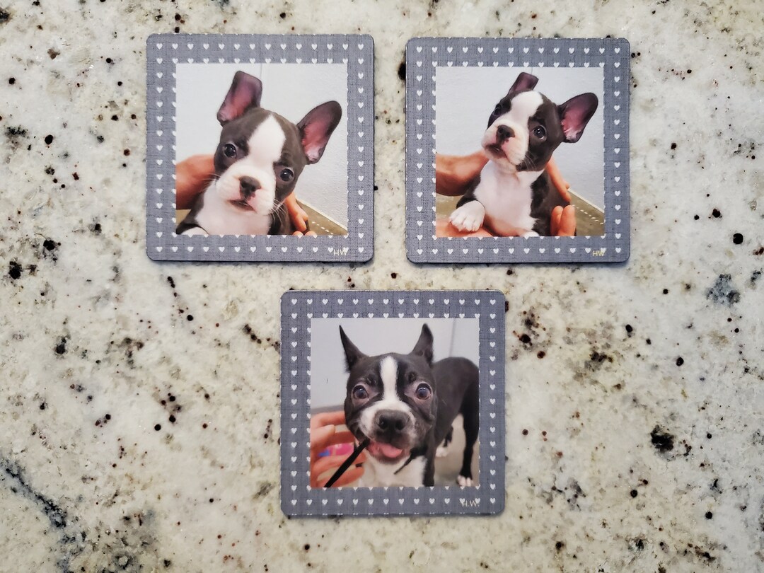 Dog Refrigerator Magnets 3 Pack Fridge Magnets Boston Terrier Frenchton ...