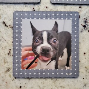 Dog Refrigerator Magnets 3 Pack Fridge Magnets Boston Terrier Frenchton ...