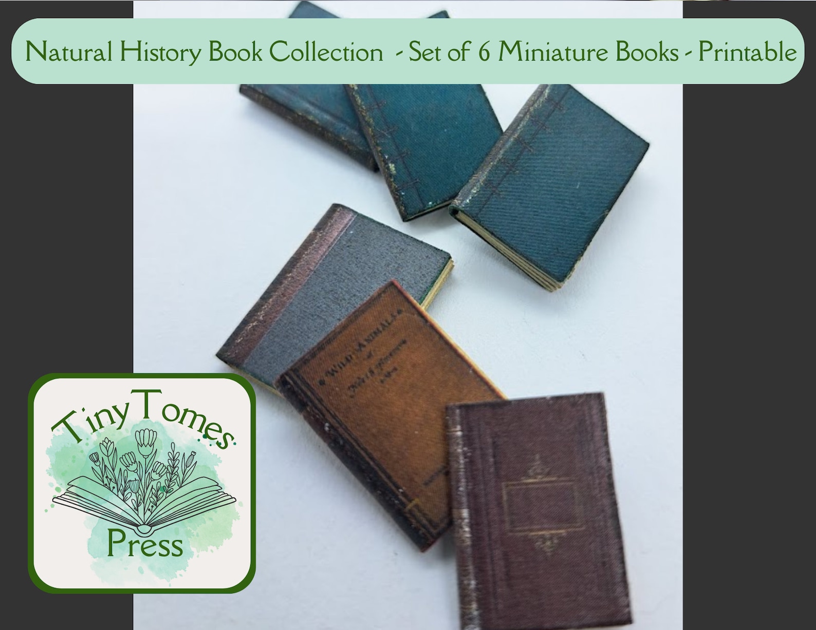 Miniature Natural History Book Collection - Digital Download - Set of 6 ...