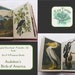 Miniature Audubon's Birds of America Books - Digital Download - Set of ...