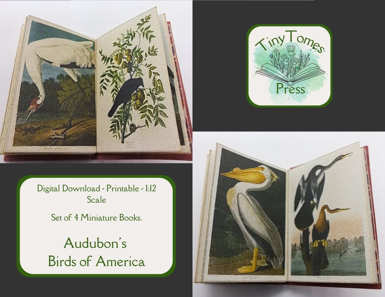 Miniature Audubon's Birds of America Books - Digital Download - Set of ...