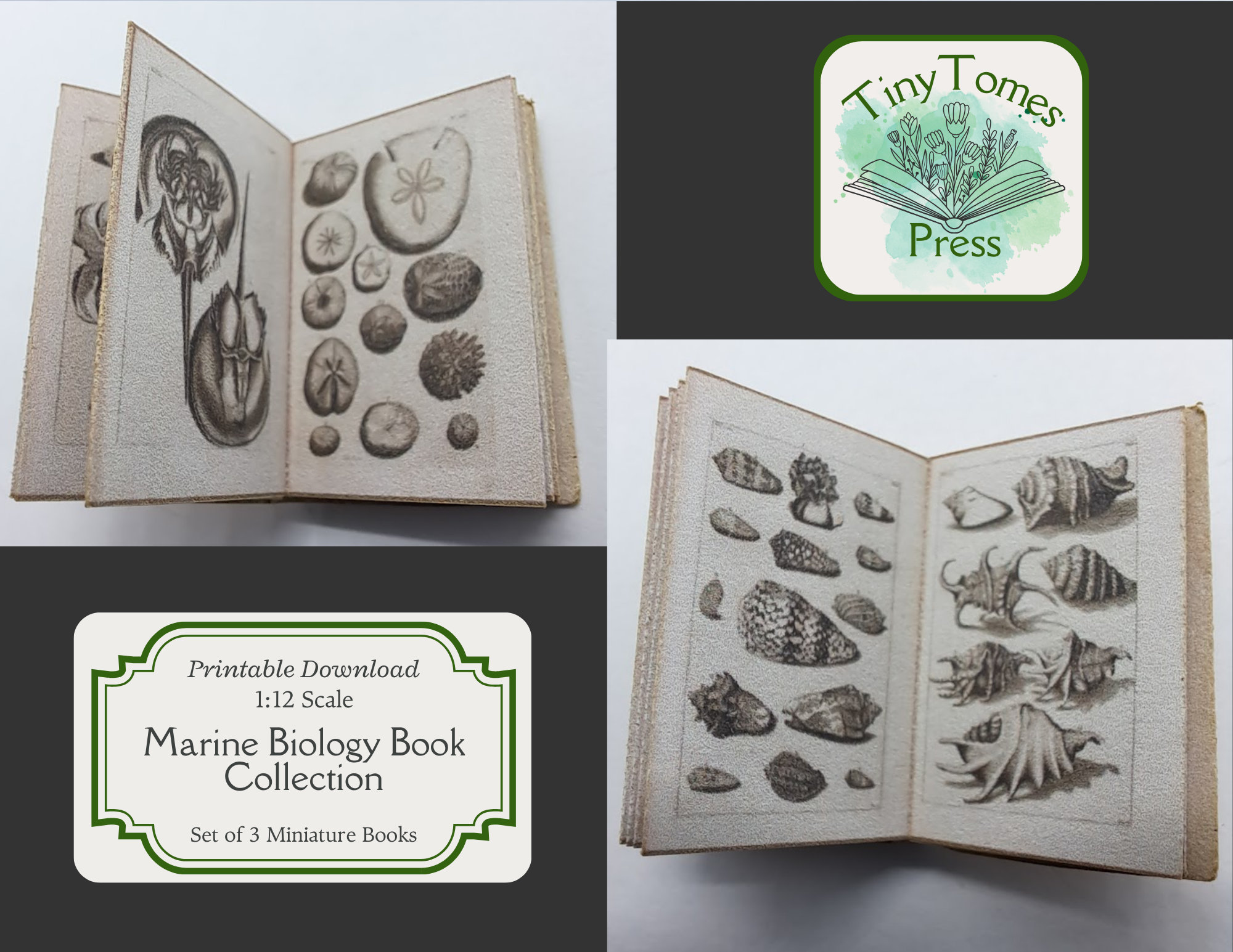 Miniature Marine Biology Book Collection Digital Download Set of 3 1:12 ...